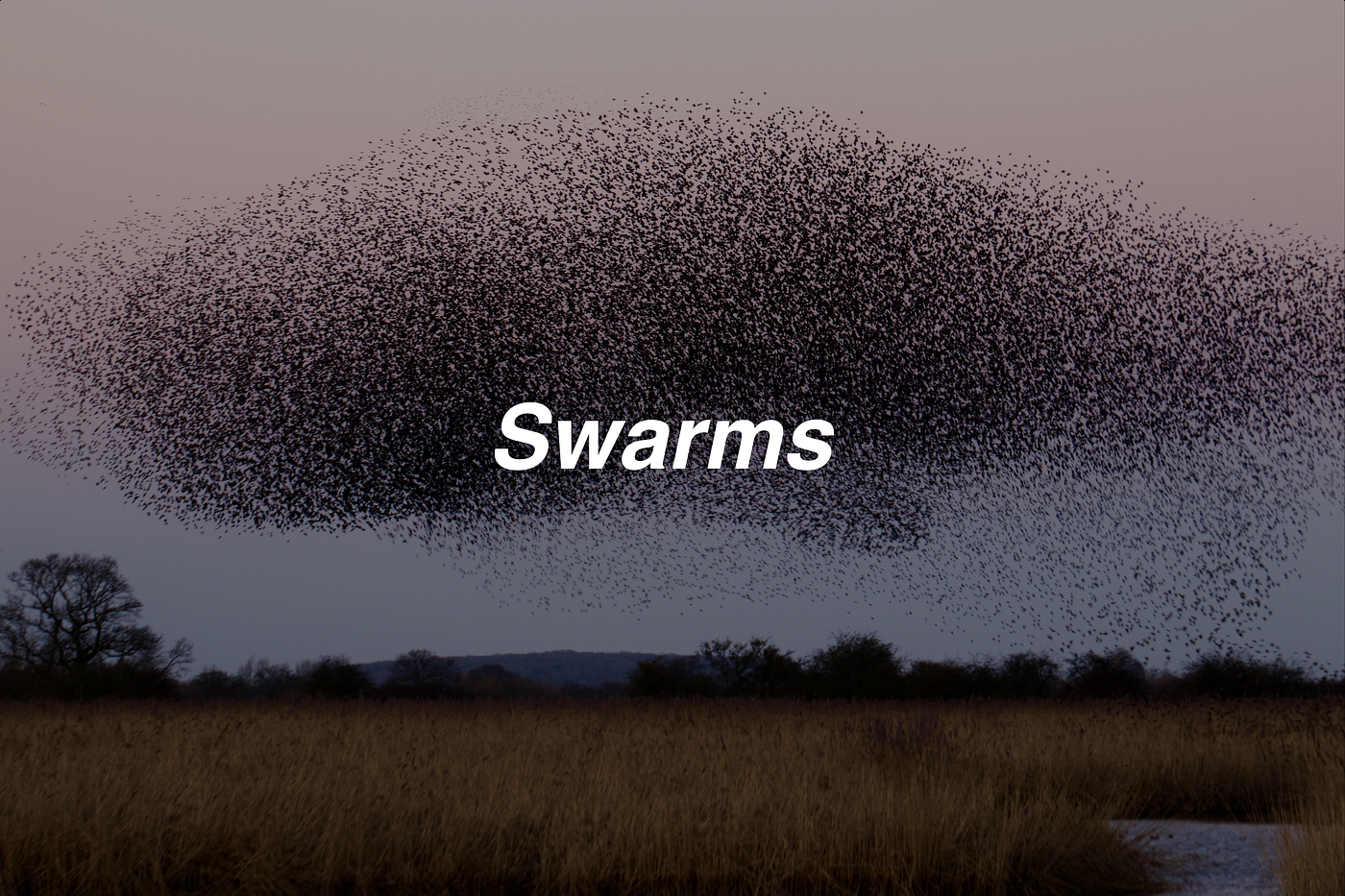 Agent Swarm AI - addROM